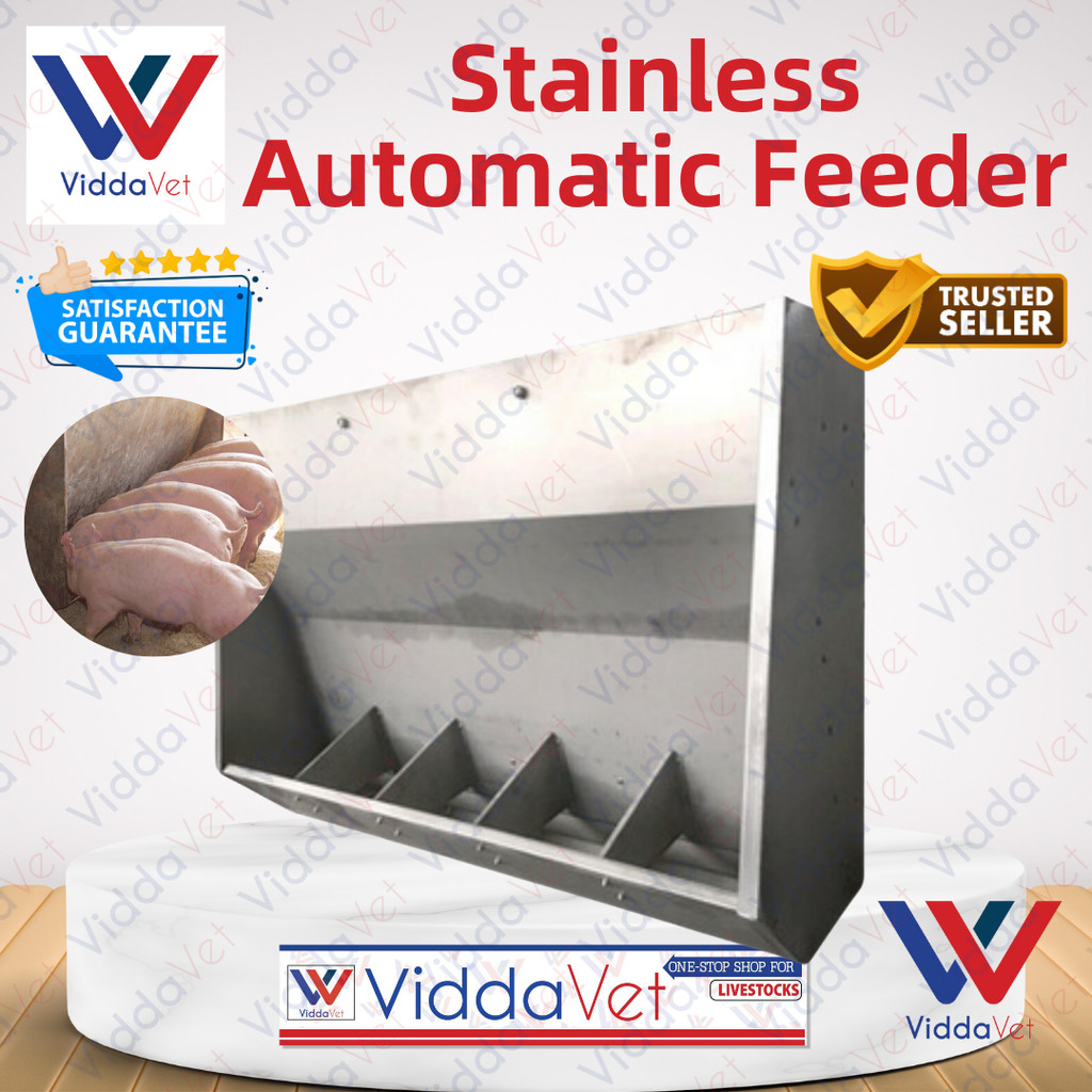 5 slot/10 Automatic Nursery Pig Feeder Stainless pig feeder Batangas ...