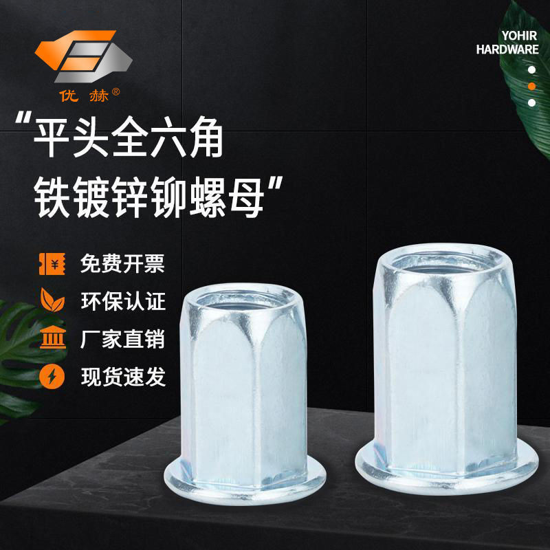 Flat Head Full Hex Rivet Nut Iron Galvanized Hexagon Pull Nut Large ...
