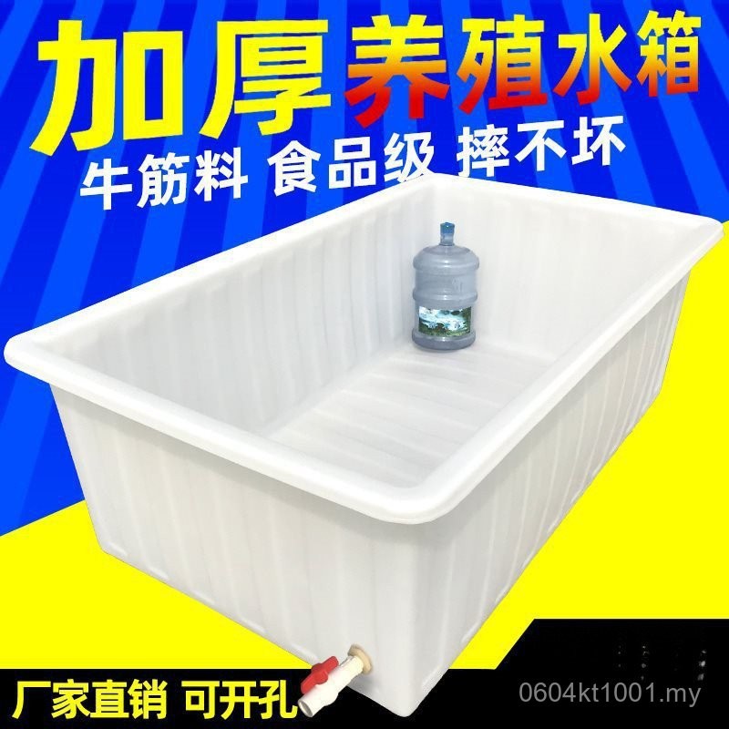 Rectangular Basin Beef Tendon Water Tank Fish Breeding Box Breeding Box ...