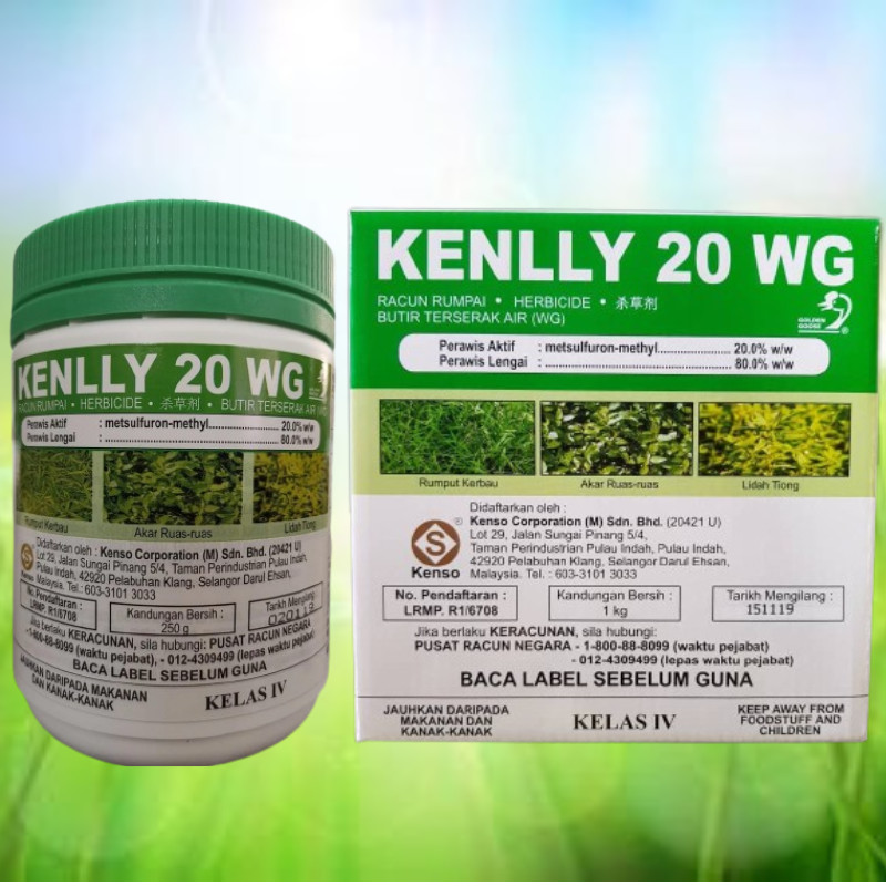 250G /1KG KENLLY 20WG (Sama Ally) Racun Alai Anak Kayu/Anak Pokok ...