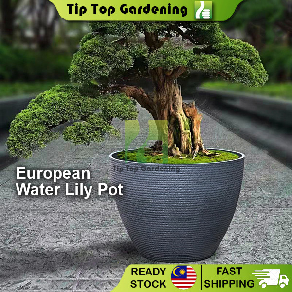 Extra Large Water Lily Pot European Flower Pot For Lotus Water Plant ...