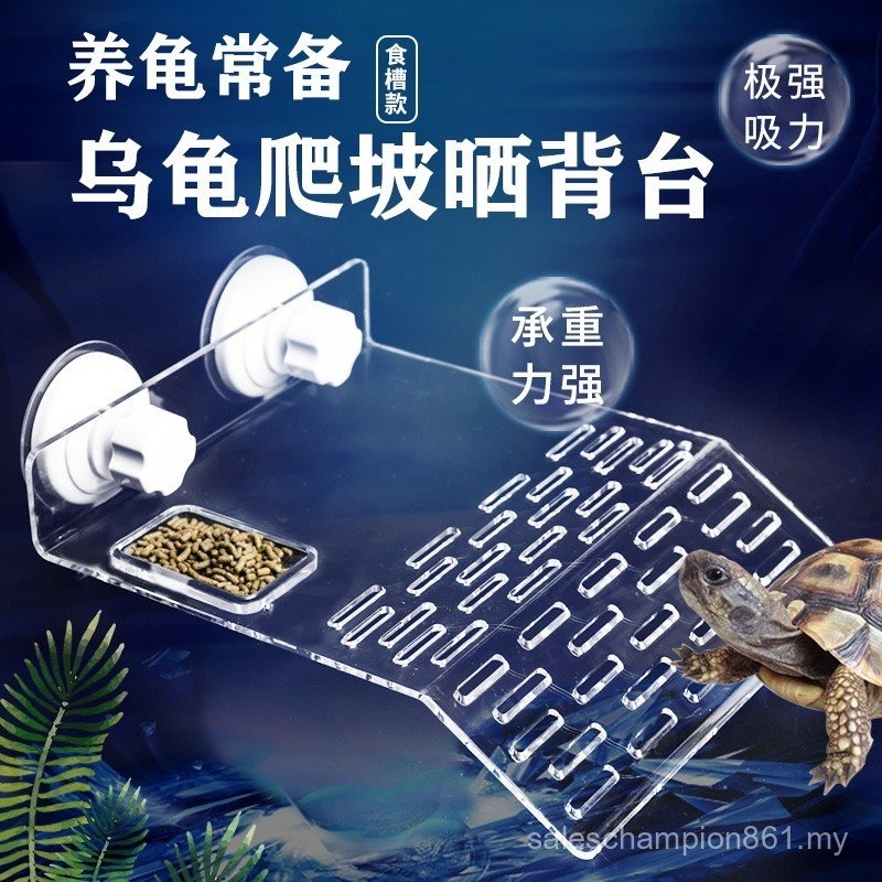 Turtle Sunning Platform Climbing Platform Habitat Isolation Board Wall ...