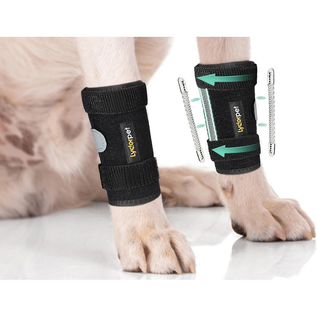Lyderpet Dog Leg Brace Front Wrist or Carpal Support for Canine Dogs ...