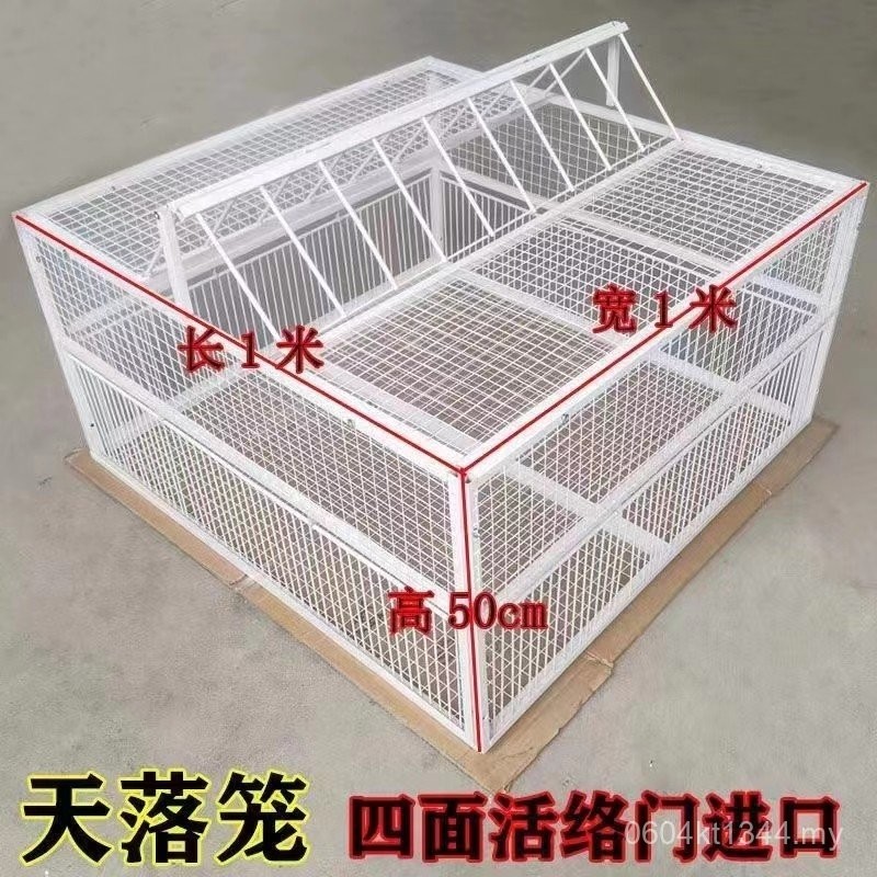 Wilderness Only Can't Enter Pigeon Cage Family Raising Encrypted Cage ...