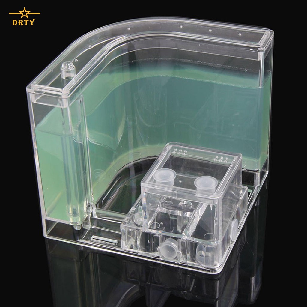3D Ant Farm Educational Maze Ant Works Castle Experiment Toy for Study ...