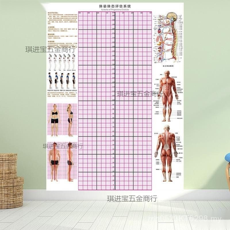 Yoga Posture Assessment Sheet Posture System Grid Gym Wall Sticker ...