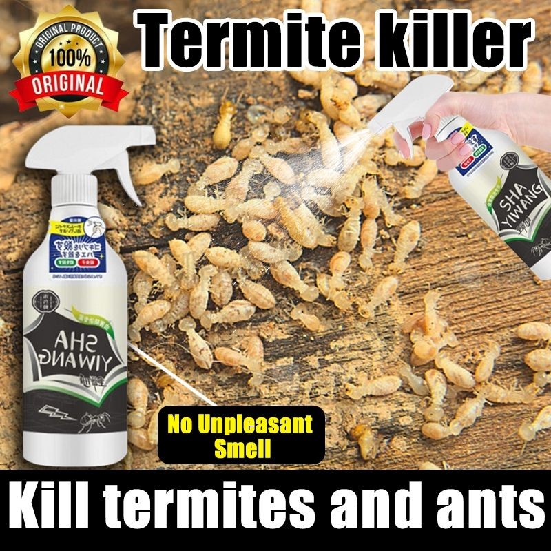 500ml Termites killer spray termites 99.99% Effective KM safe and ...