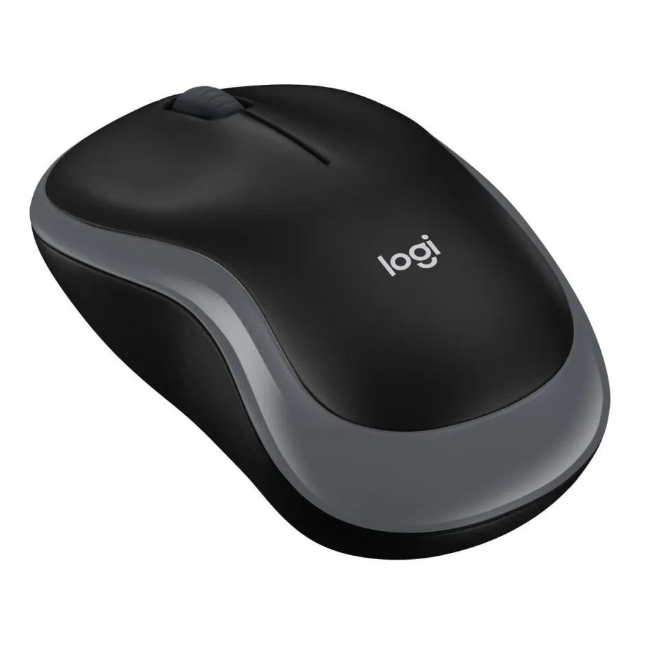 LOGITECH Mice B175 Wireless Mouse Desktop Laptop Computer | Shopee Malaysia