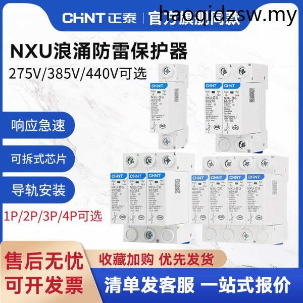Zhengtai Surge Protector nxu Power Lightning Protector 2P Electric Surge Lightning Protection ...