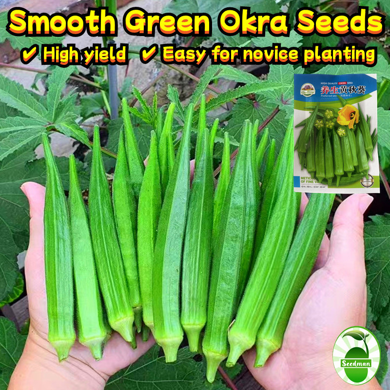 50 Seeds/pack High Crop Smooth Green Okra Seeds Baby Bubba Okra Seeds ...
