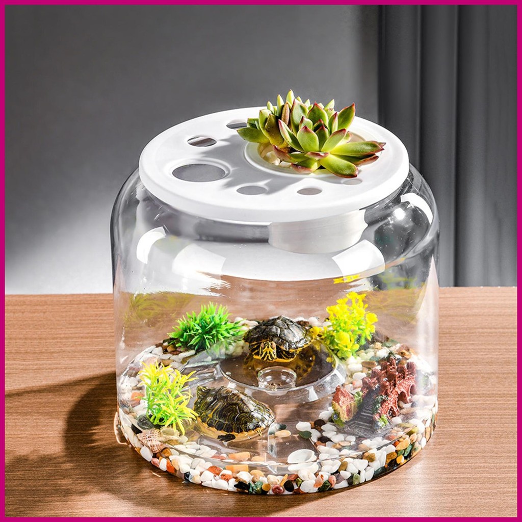 Water Turtle Tank Creative Turtle House Habitat Turtle Tank with Lid ...