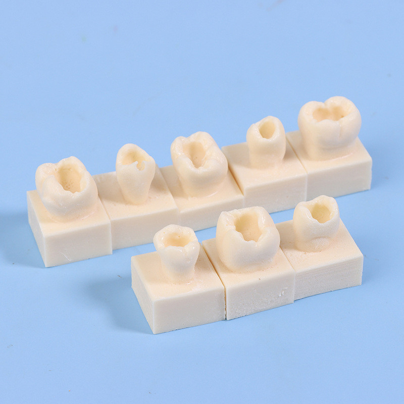 Xinpin Oral Resin Filling Exercise Model Tooth Shape Stacking Resin ...