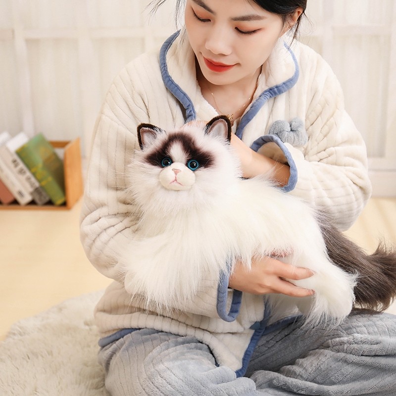 Ragdoll Cat Plush Toys Cute Cat Doll Soft Plushies Huggable Stuffed Toy ...