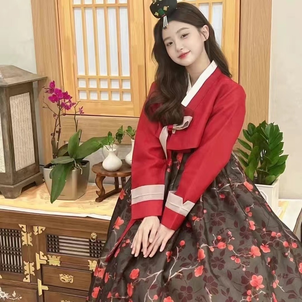 Princess Yanji Korean Ethnic Hanbok Influencer Costume Clockwork Women ...