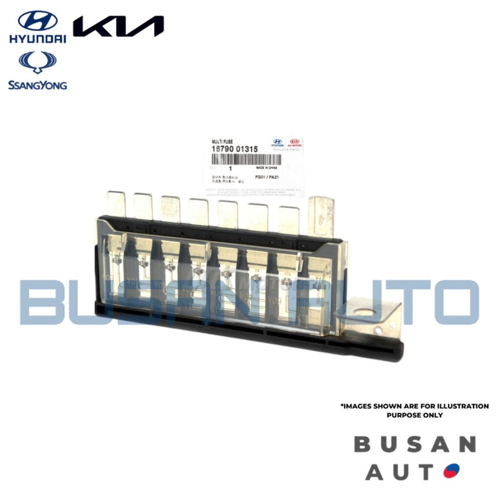 Genuine Hyundai Kia Multi Fuse for Hyundai Elantra MD – 18790-01315 ...