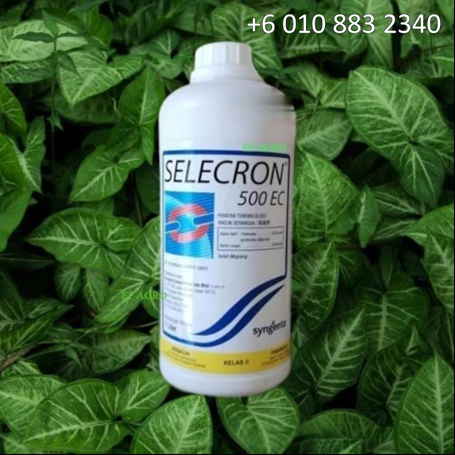 SELECRON 500EC – Best Agricultural Pesticide Racun Serangga Pertanian ...