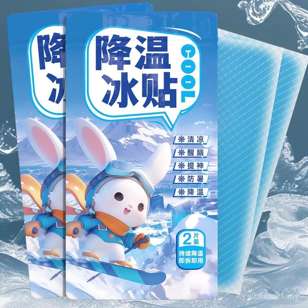 Sg Ice Patch Cool Cool Cooling Summer Cooling Machine Cooling Patch Ice ...