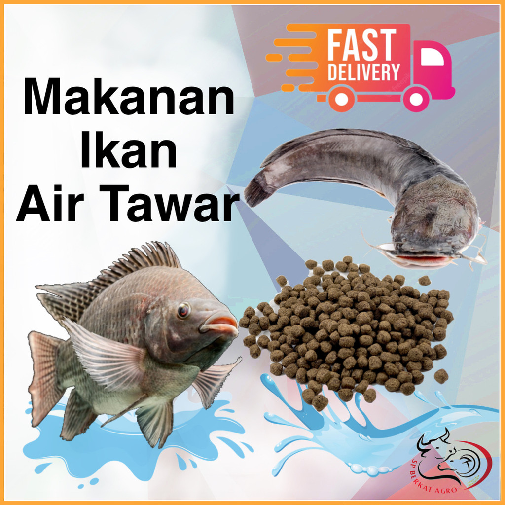 [1KG] Makanan Ikan Talapia Dedak Ikan Keli Fish Pallet Ikan talapia ...