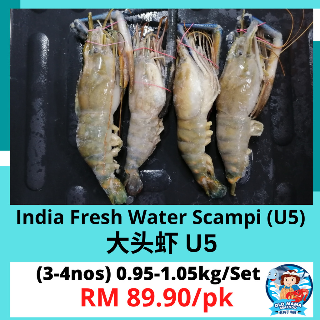 Promo Set - India Fresh Water Scampi (U5) / 大头虾 U5 3-4nos (0.95-1.05kg ...