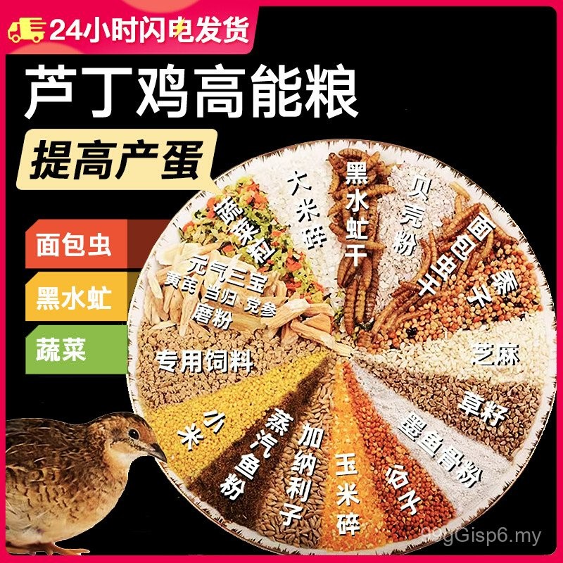 Ludding Chicken Special Feed Grain Large Small Ludding Chicken Breeding ...