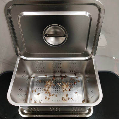 Cricket Breeding Box Dubia Cherry Cockroach Breeding Box Reptile ...