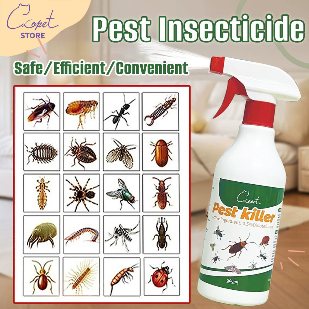 Household Pest Control Spray Ant / Roach / Mosquitoe / Flie / Bed Bug ...