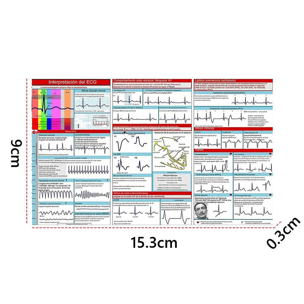 [Redkee.my] EKG Rhythm Interpretation Double Sided Compact Portable Reference Card ECG/EKG ...