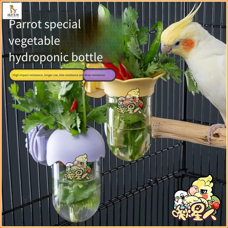 Parrot feeder/Parrot hydroponic bottle, vegetable, bean seedling, fruit ...