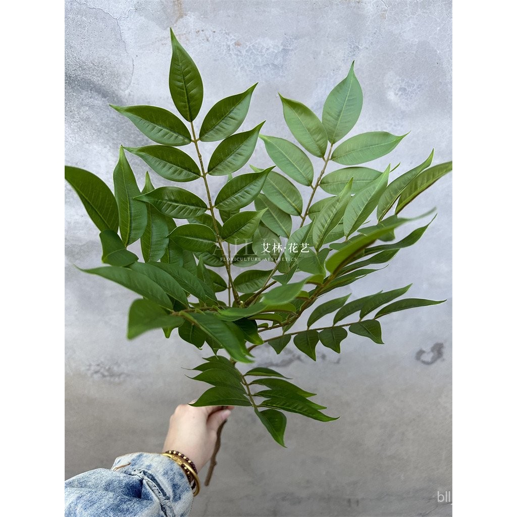 Cawangan Tunggal Daun Kayu Lakar Bunga Buatan Bonsai Buatan Gubahan ...