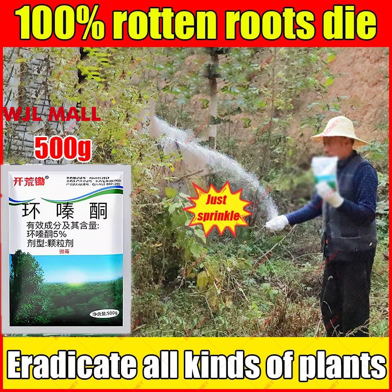 500g Root Rot Killer Hexazinone Herbicide Menghapuskan Akar Pokok ...