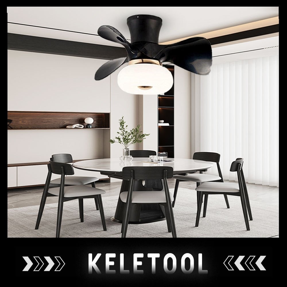 22 inch Ceiling Fan Light Dimmable Bedroom Ceiling fan Black Reversible ...