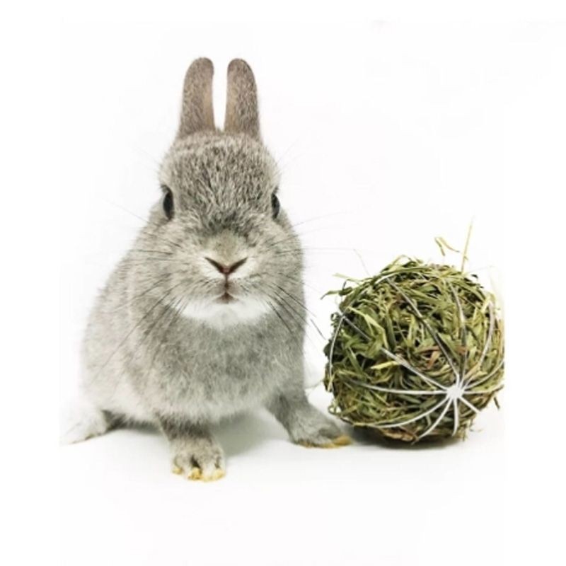 Rabbit Grass Ball Rack Can Be Hanged Fixed Feeding Grass Rack Guinea ...
