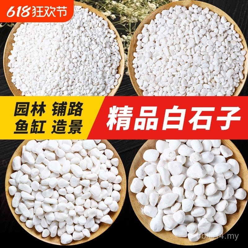 Batu Bunga Hujan Asli Kerikil Putih Kecil untuk Menurap, Pasu Bunga ...