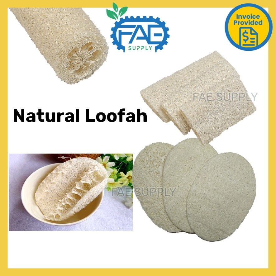Natural White Exfoliating Loofah Sponge Dish sponge Bath Scrub log and ...