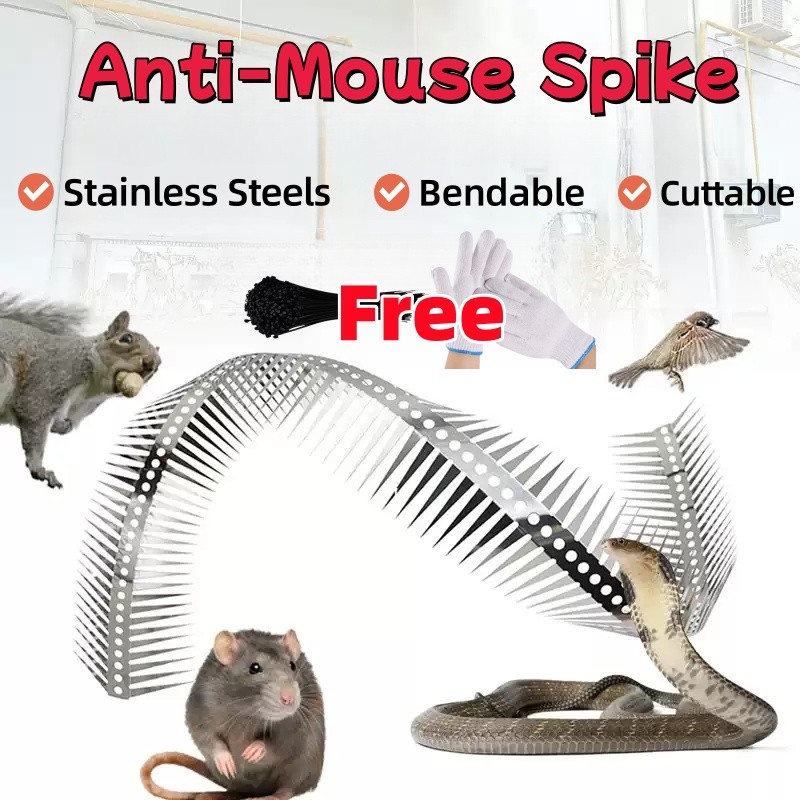 Anti-Bird Spikes, 1m Stainless Steel Anti Spikes, Entangle Balcony Eave ...