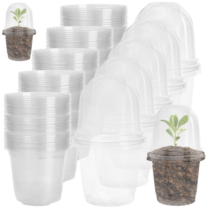 10Pcs Seed Plant Nursery Pots - Plant Nursing Growing - Transparent ...