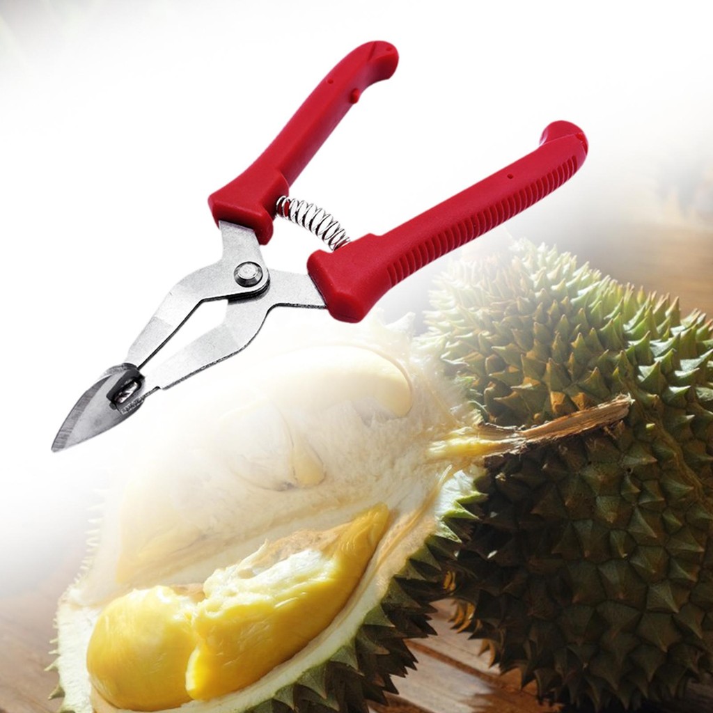 [nlkgeqg] Durian Opener Durian Shell Opener Fruit Divider Peel Breaking ...