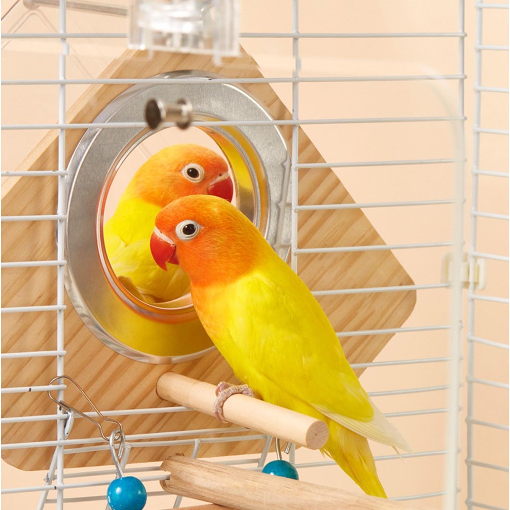 Bird breeding box Bird Nest Cockatiel Mating Box Parakeet Nesting Box ...