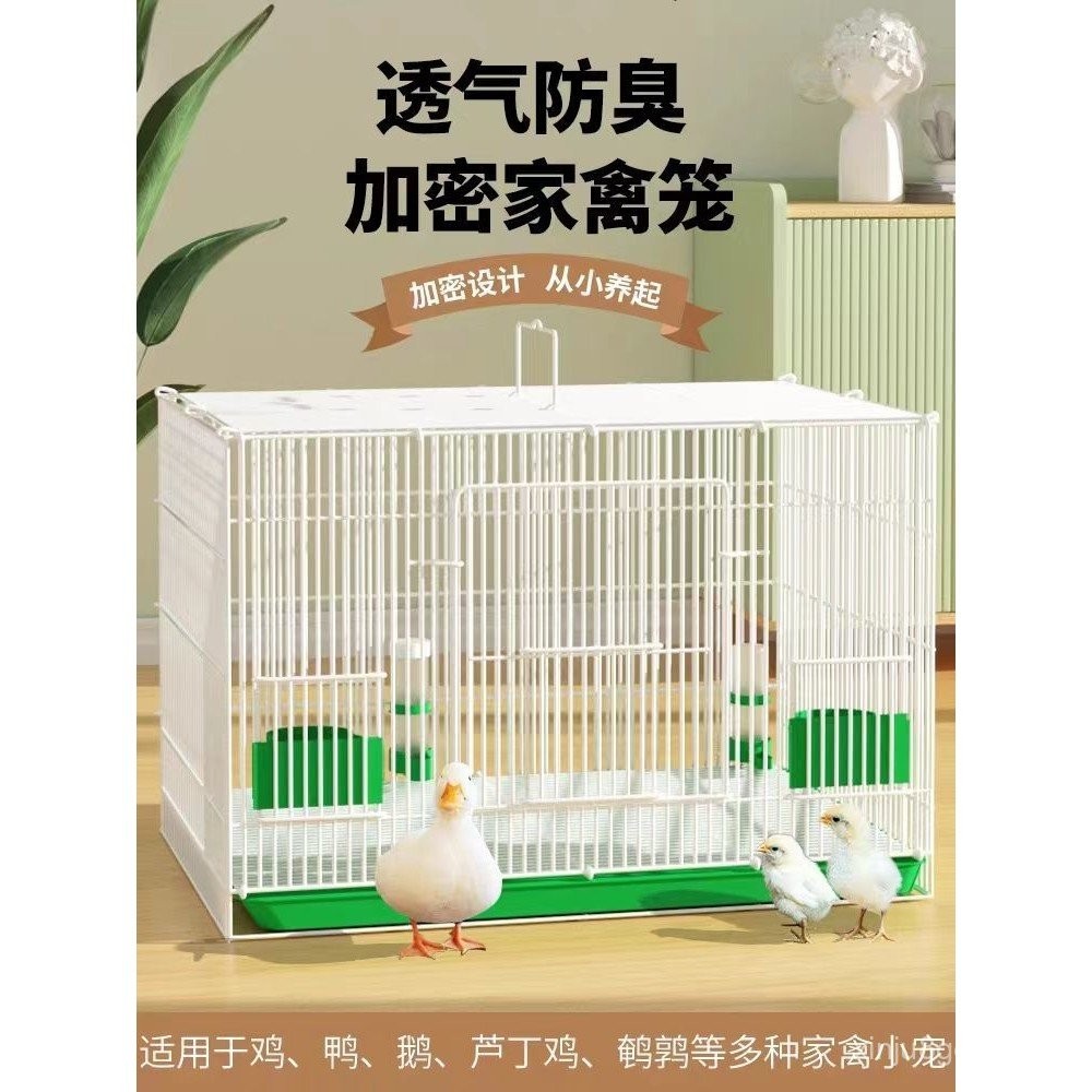 Luding Chicken Cage Special Small Chicken Cage Chicken Household Large ...
