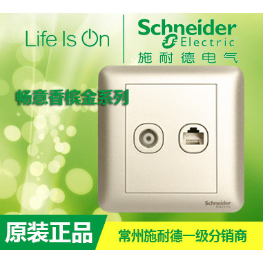 Schneider Switch Socket Smooth Frosted Golden TV+Computer Network ...