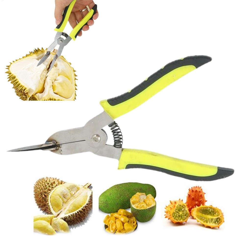 Kitchen Durian pliers opener Portable Stainless Steel Durian Peeling ...