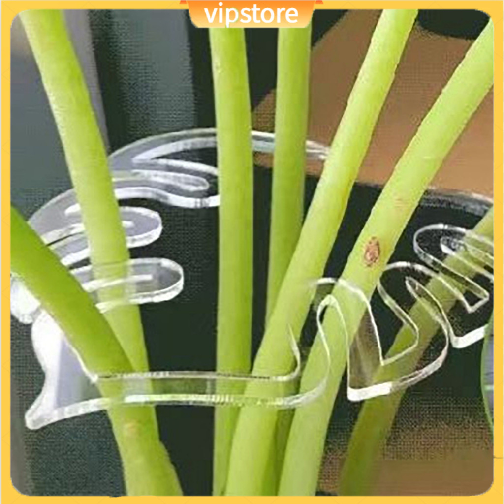 (VIP) Flower Stem Holder Leaf Shape Plant Holder Stylish Monstera Plant ...