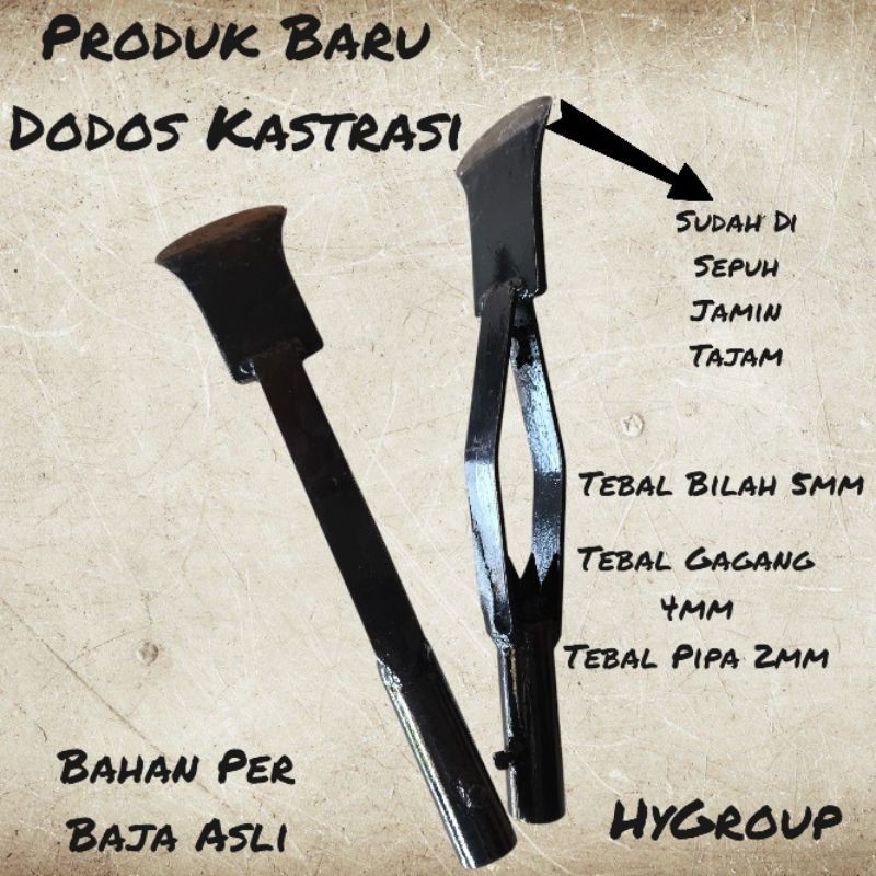 Dodos Alat Kastrasi Kelapa Sawit Bahan Per Baja Asli Tajam Awet Kokoh ...