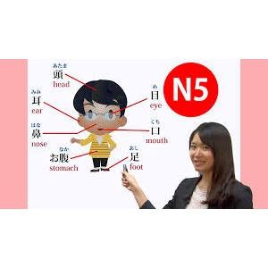 Online Japanese N5 Course(All 15 lessons) | Shopee Malaysia