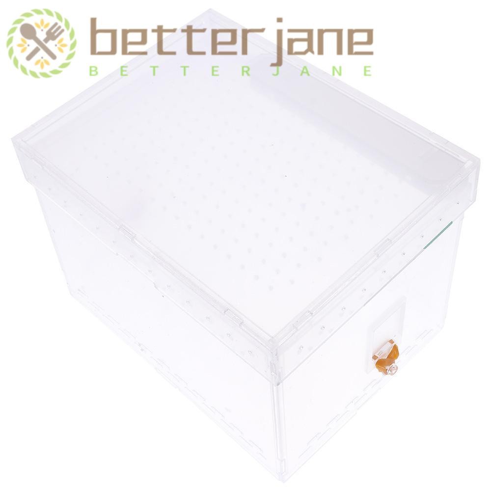 BETTER-JANE Cricket Care Kit, Ventilated Acrylic Cricket Keeper, for ...