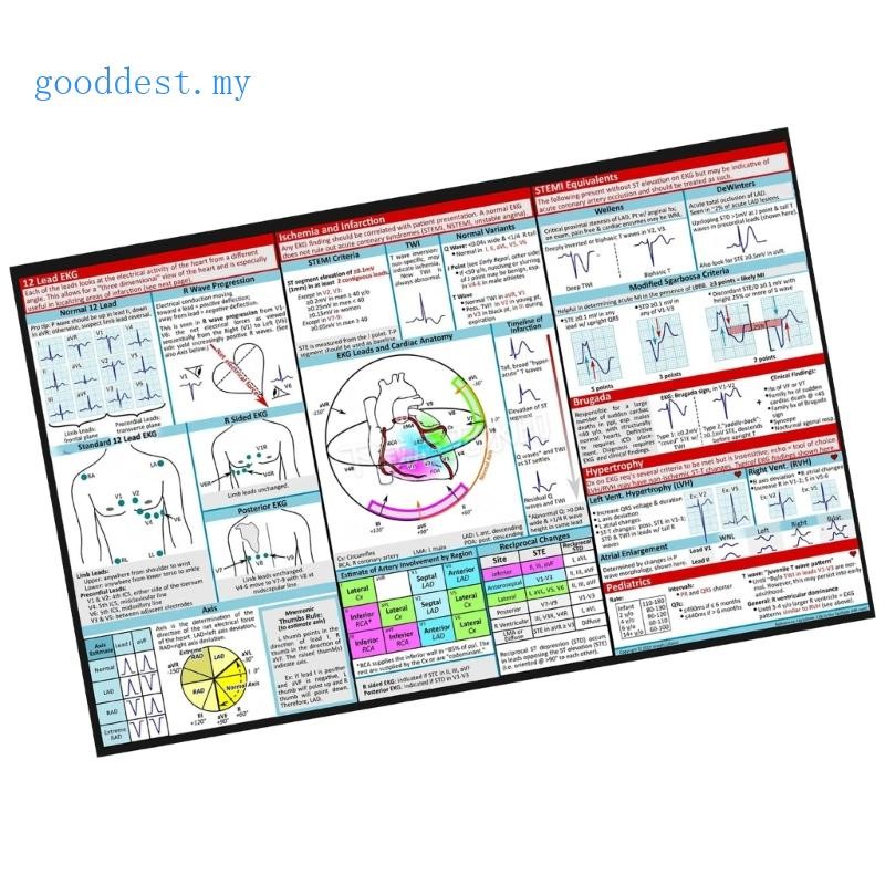 GOOD Pocket EKG Rhythm Instruction Card Portable Double Side EKG ...