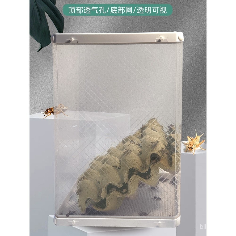 Climbing Pet A3 Breeding Box Transparent Assembly Box Breathable Dunge ...