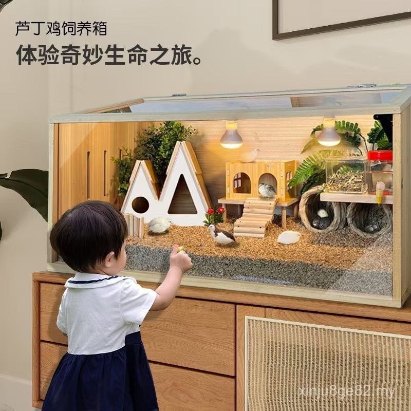 Ludding Chicken Hamster Breeding Box Breeding Young Incubator Chicken ...