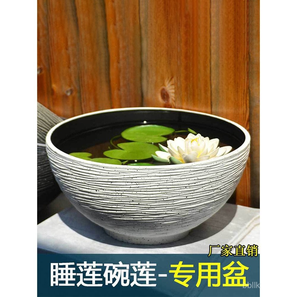 Tangki Ikan Tradisional untuk Pembiakan Ikan, Periuk Lanskap Teratai ...