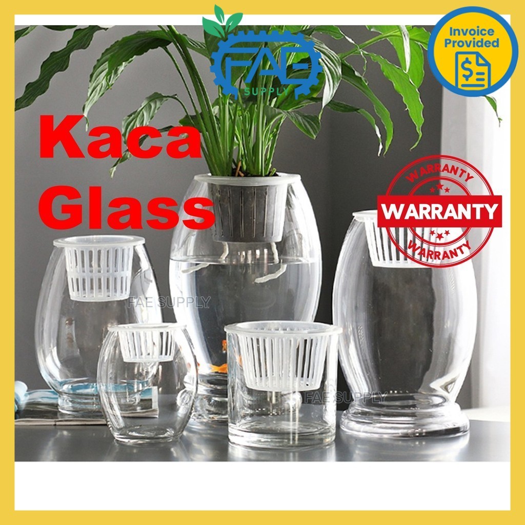 Pasu Kaca bulat Glass Vase Goose egg shape hydroponic vase pasu bunga ...